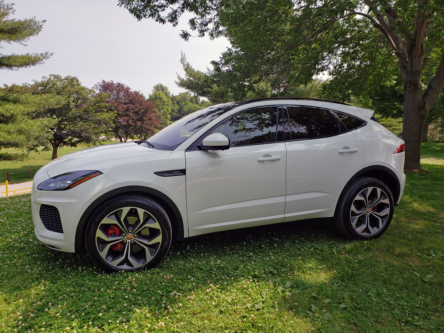 Jaguar 2019 e pace store