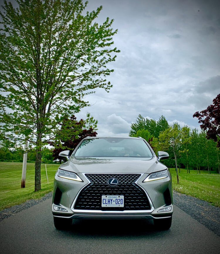 Road Test: 2020 Lexus RX 350 - Vicarious Magazine